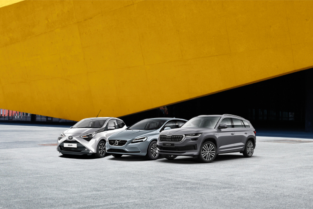 Wensink Winkel Assen | Wensink